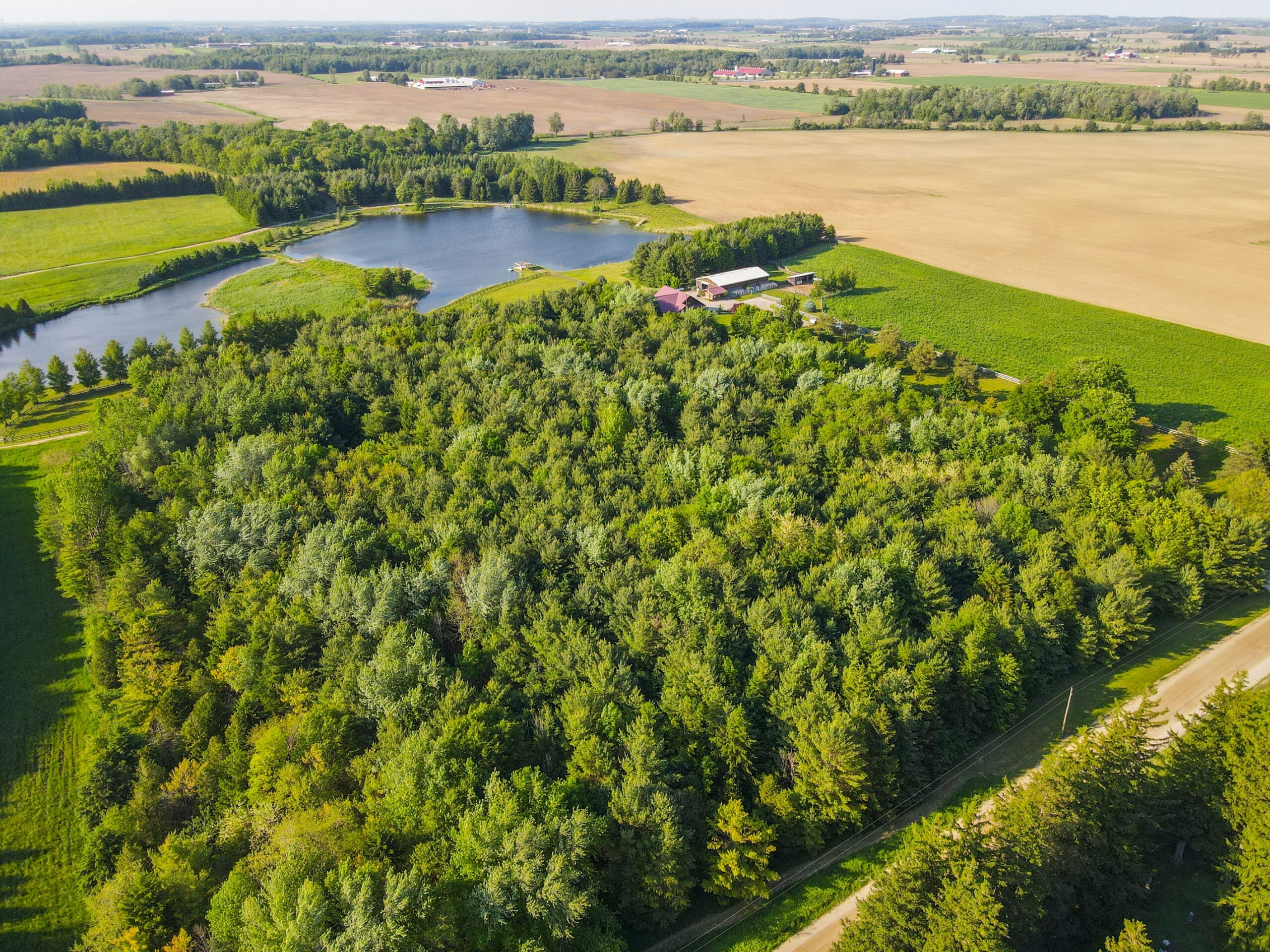 Rural Properties & Workable Land - Capstone REPS